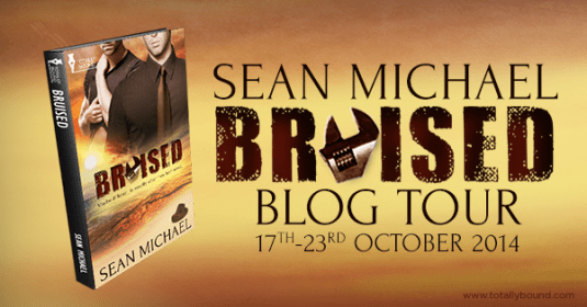 Let’s Get Intimate with Sean Michael and “Bruised” (book tour ...